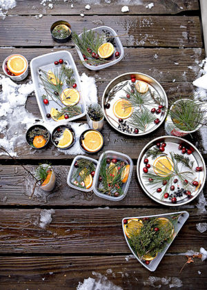 How to Make Beautiful Winter Ice Decor for Your Yard