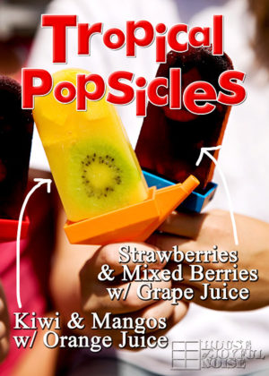 Tropical Popsicles