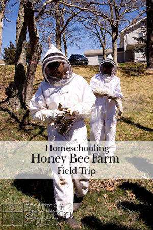 Honey Bees Farm - Field Trip