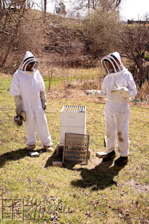 Honey Bees Farm - Field Trip